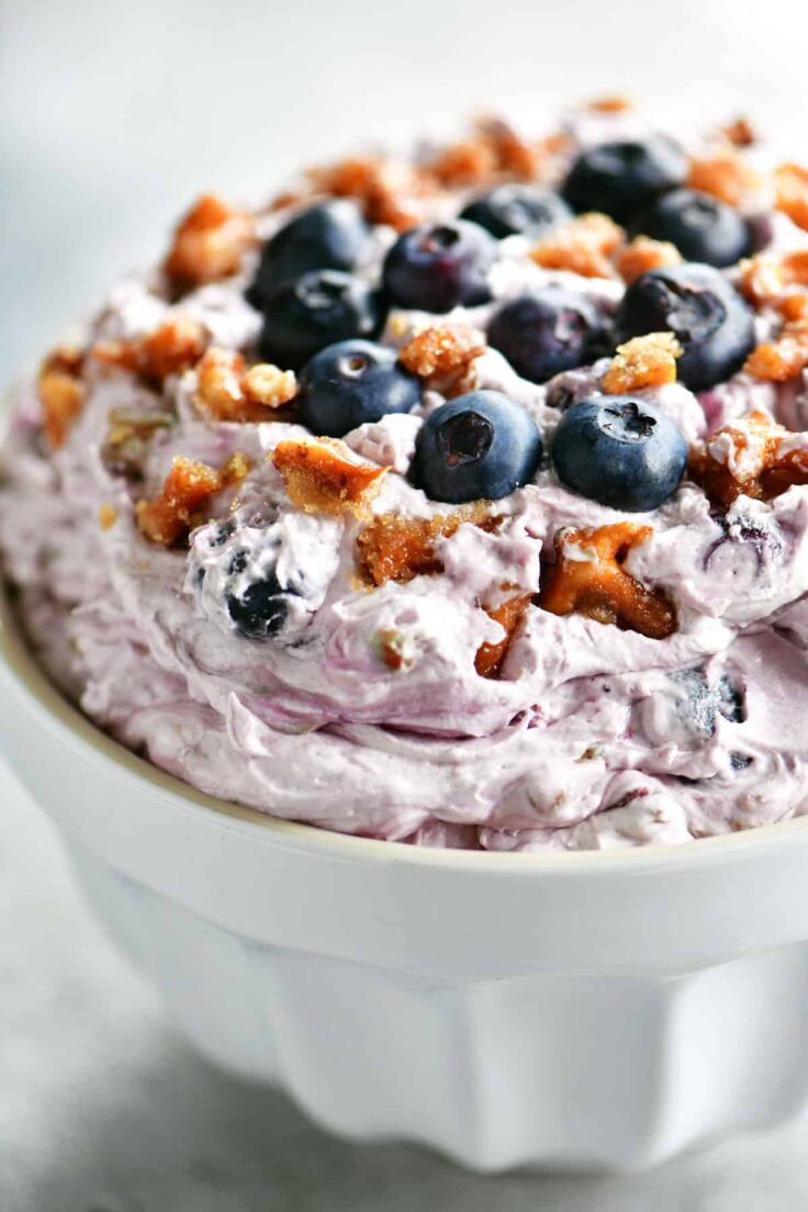 30 Easy Blueberry Recipes | The Recipe Rebel