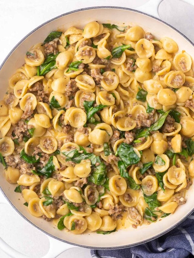 Orecchiette Pasta with Sausage - The Recipe Rebel