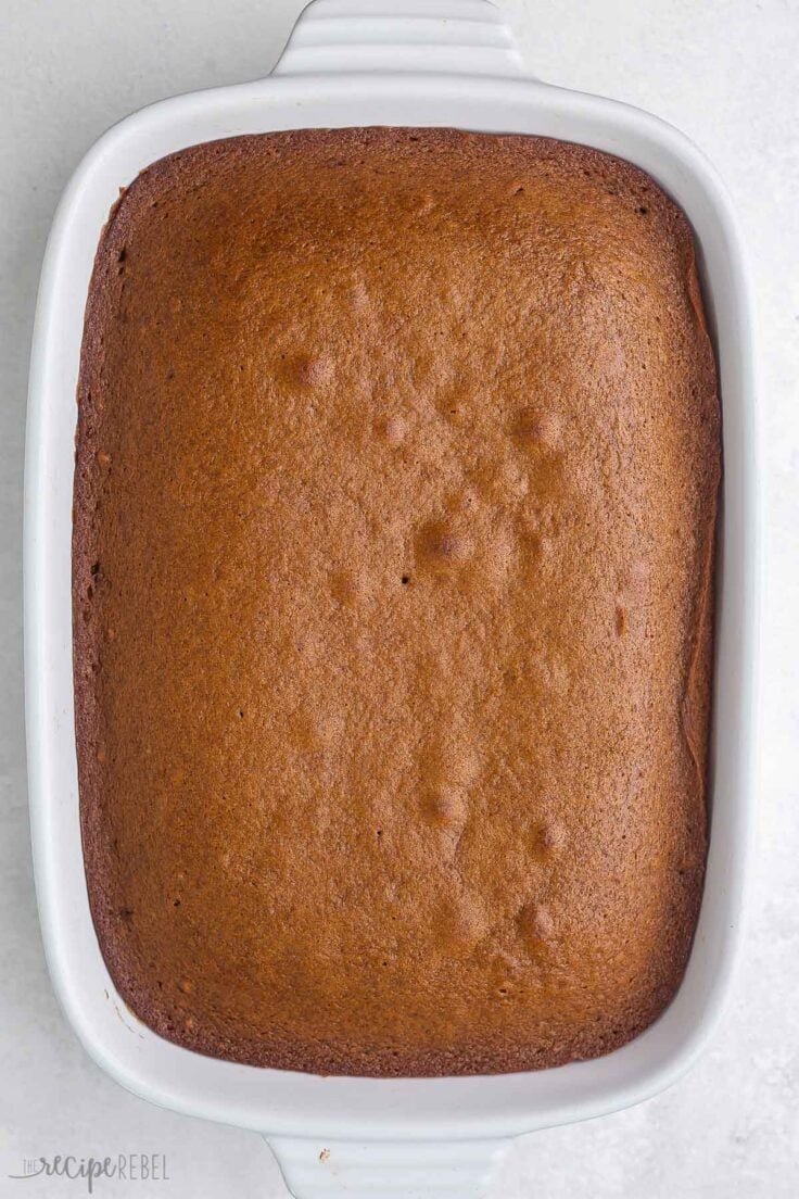 Gingerbread Cake - The Recipe Rebel