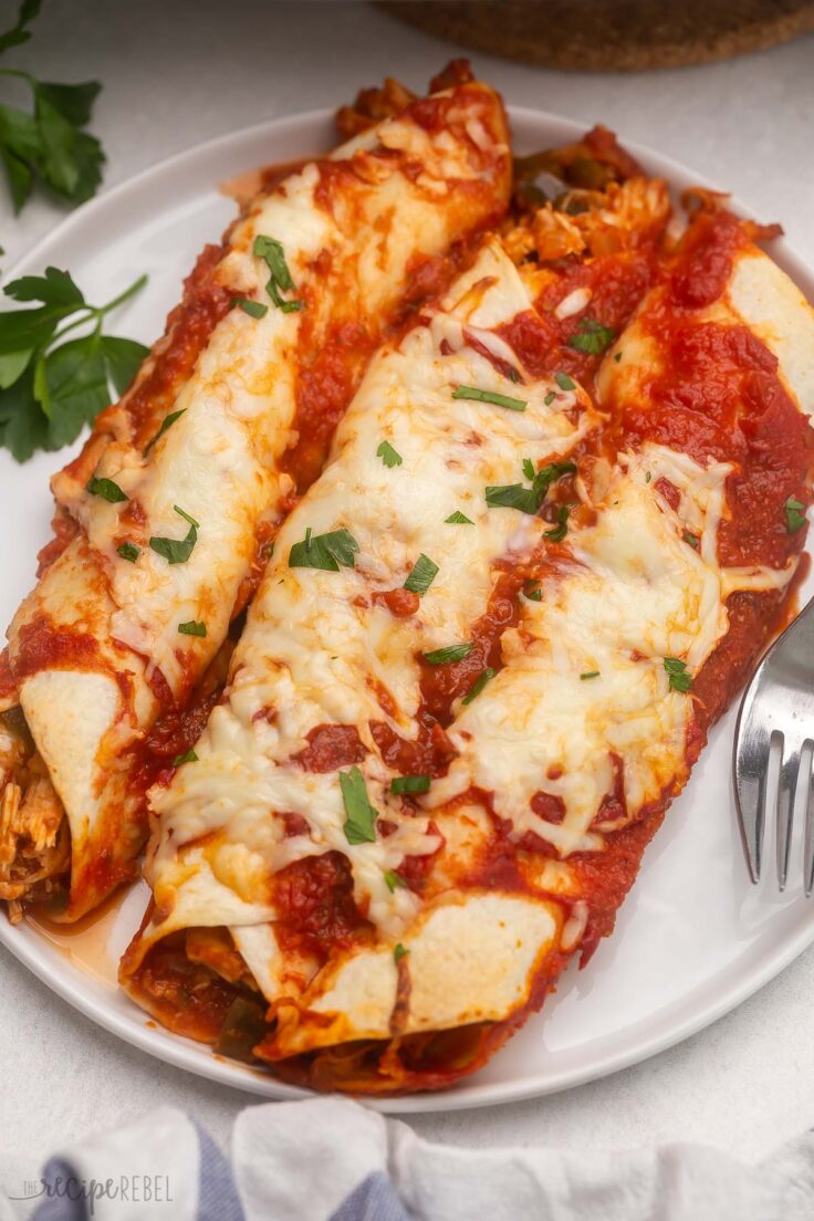 Easy Chicken Enchiladas - The Recipe Rebel