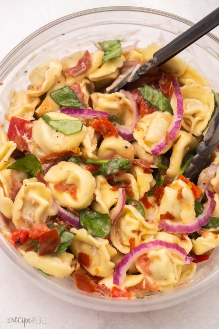 Tortellini Pasta Salad The Recipe Rebel