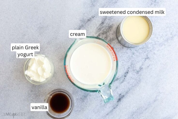 No Churn Ice Cream - The Recipe Rebel