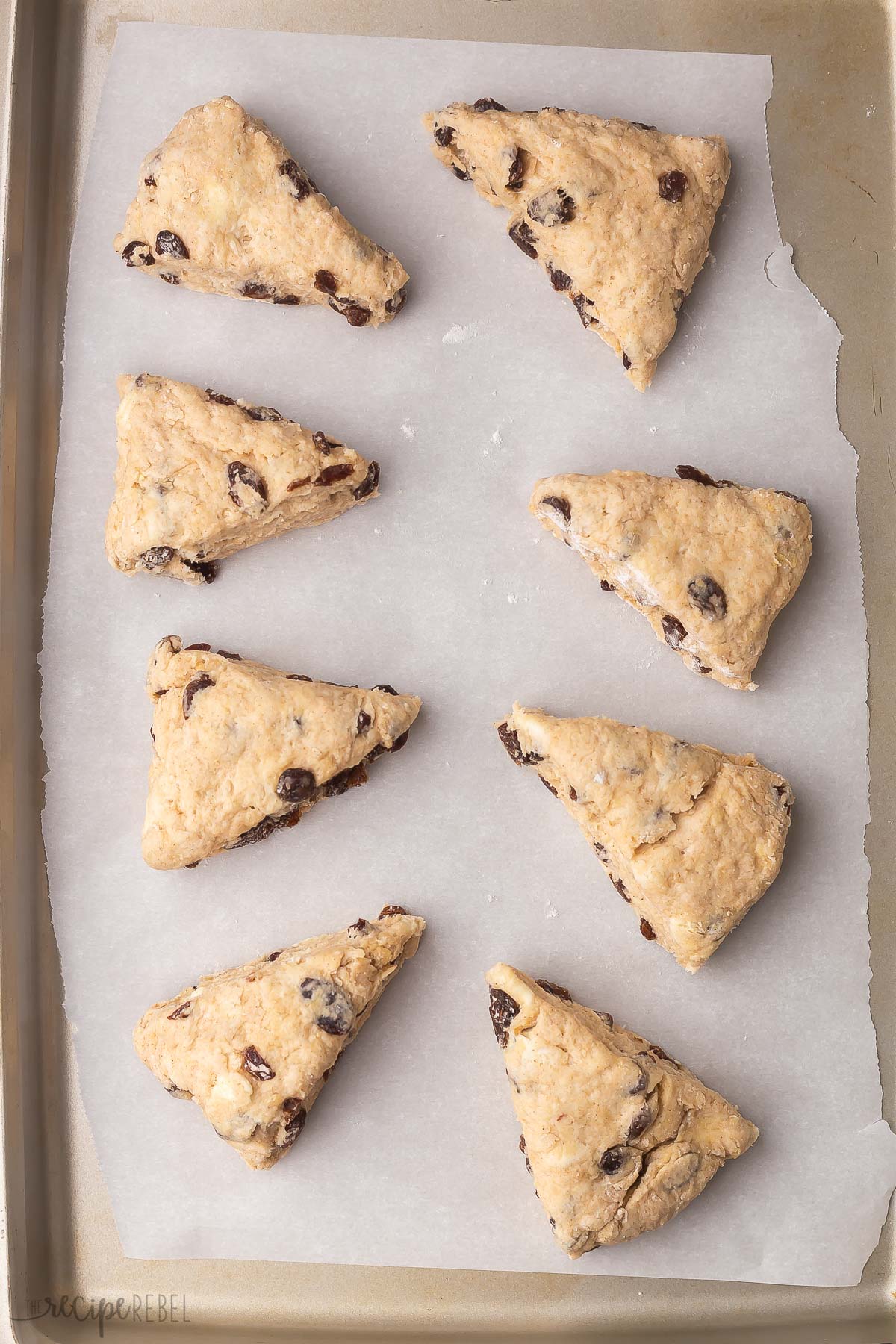 Cinnamon Raisin Scones - The Recipe Rebel