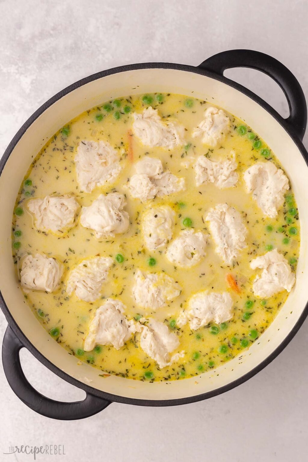 Chicken Dumpling Soup - The Recipe Rebel