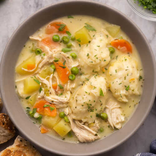Chicken Dumpling Soup - The Recipe Rebel