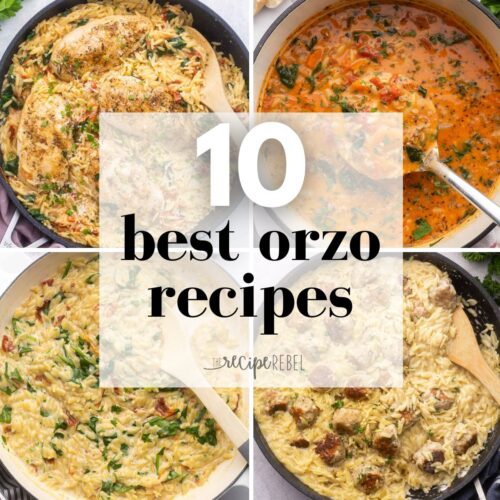 10 Best Orzo Recipes - The Recipe Rebel