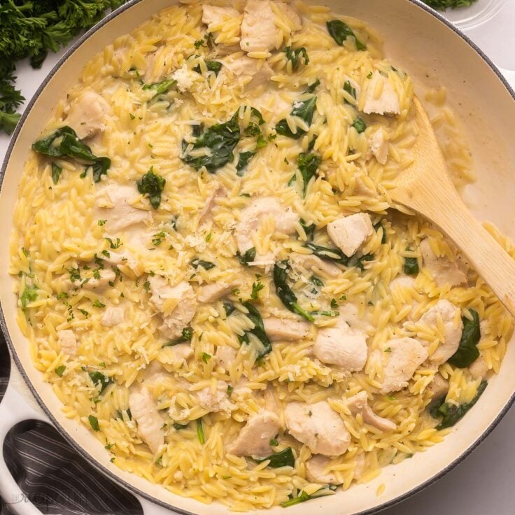 Easy Chicken Orzo Recipe [VIDEO] - The Recipe Rebel