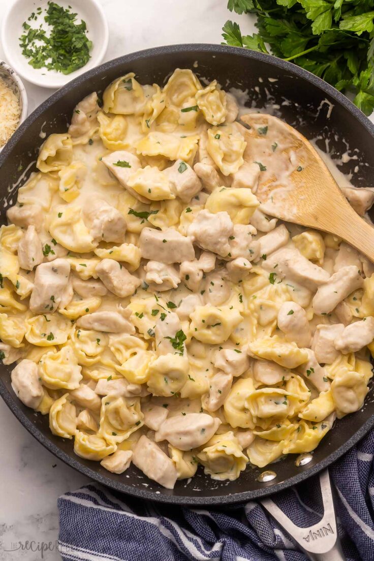 Chicken Tortellini Alfredo [one pan!] - The Recipe Rebel