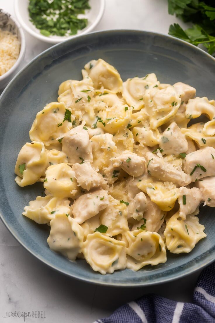 Chicken Tortellini Alfredo [one pan!] - The Recipe Rebel