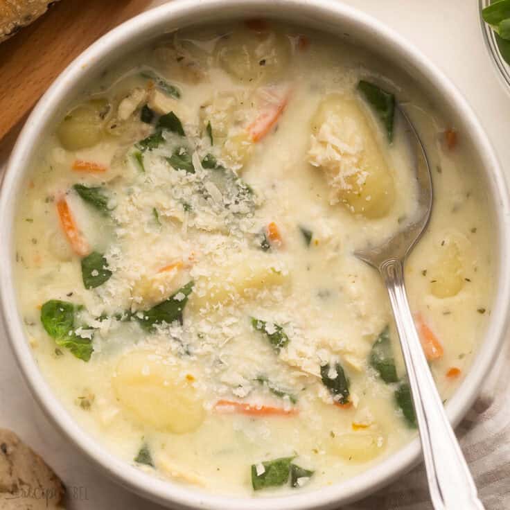 Chicken Dumpling Soup - The Recipe Rebel