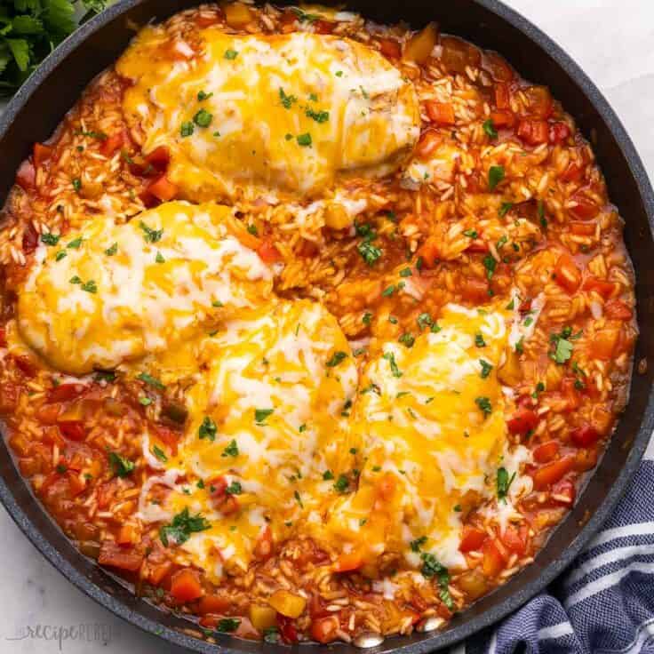 Mango Salsa Chicken and Rice {VIDEO} - The Recipe Rebel